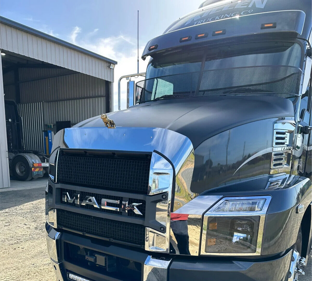 Stainless Steel Bug Deflector With Extended Sides To Suit Mack Anthem ...
