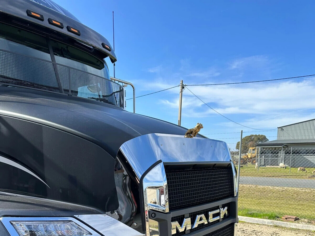 Stainless Steel Bug Deflector With Extended Sides To Suit Mack Anthem ...